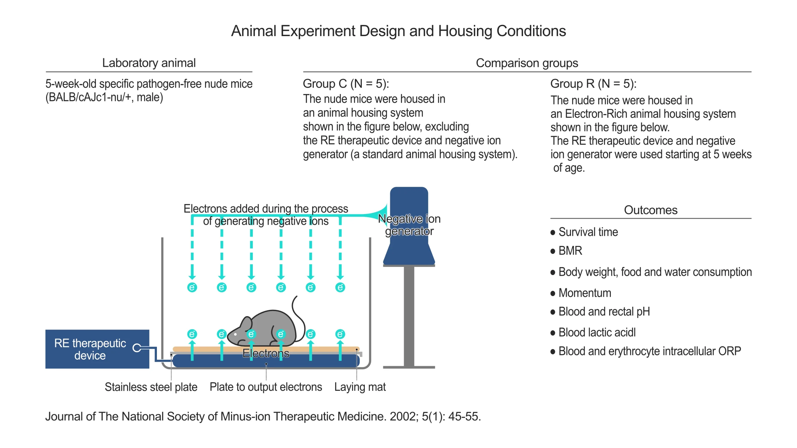 Added Articles on “Animal experiments on extending survival time” to ...